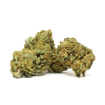 Northern Lights – Popcorn – West Coast Botanics