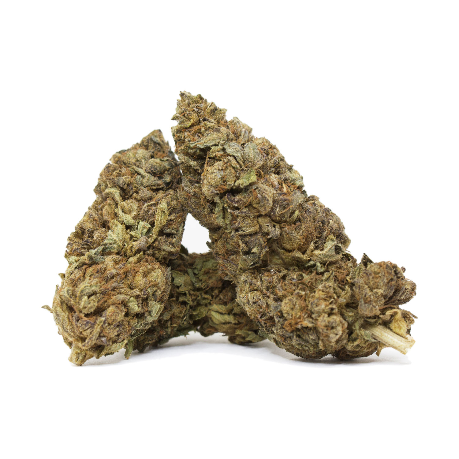 Sensi Star – West Coast Botanics